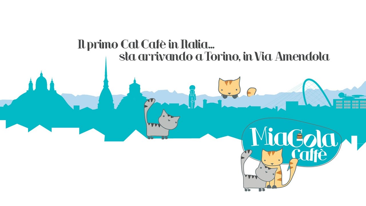 MiaGola Caffè - il primo Cat Cafè italiano - YouTube