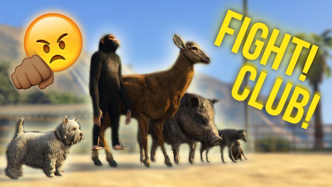 GTA 5 RP - FIGHT CLUB WITH ANIMALS! (GTA 5 Roleplay) - YouTube