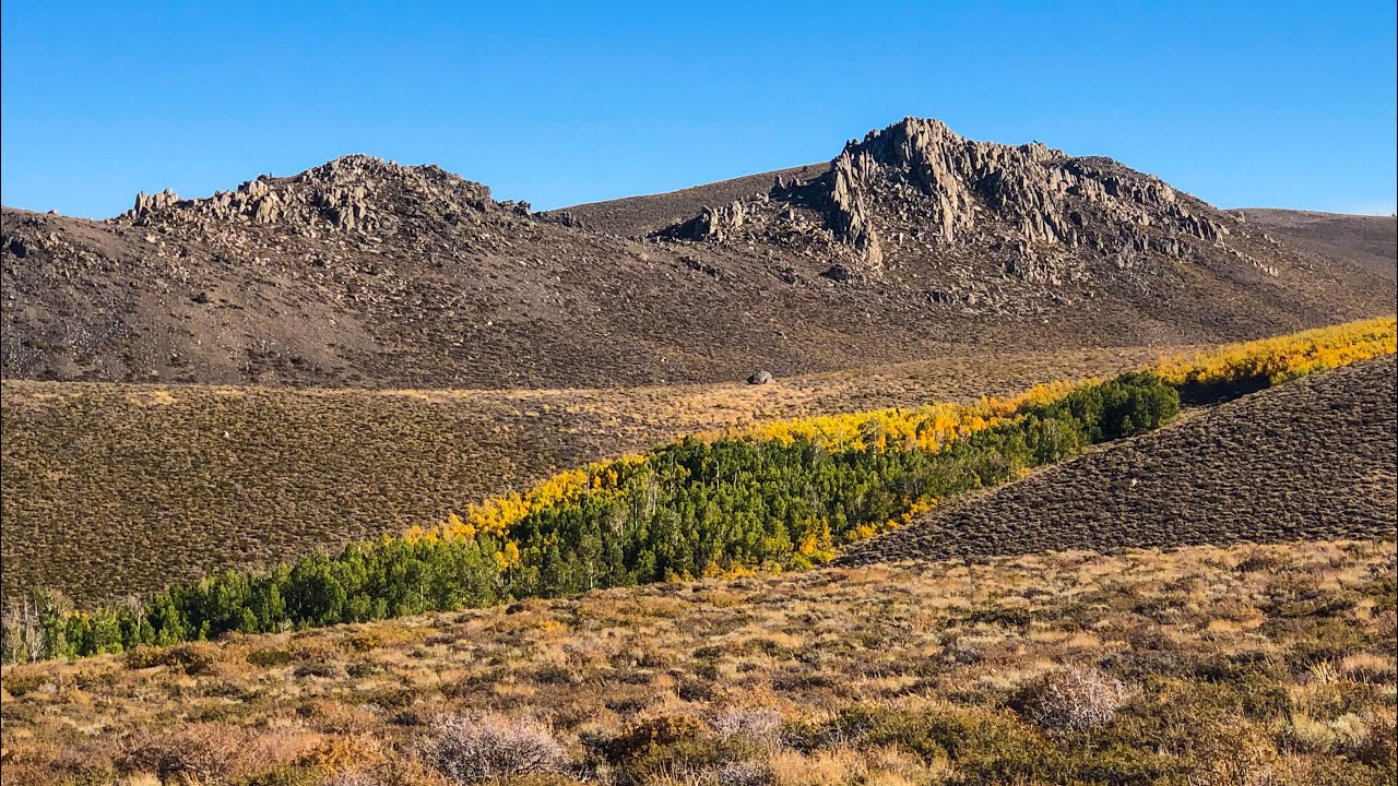 S2E21: The Hunt For Fall | Humboldt-Toiyabe National Forest - YouTube