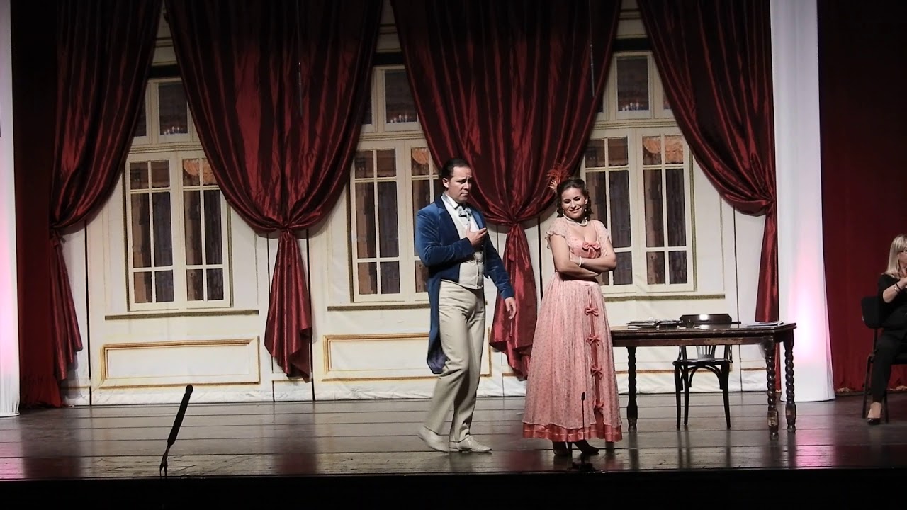 דם וינאי ;אופרטה מאת; יוהן שטראוס בביצוע זמרים ורקדנים מבודפשט ותזמורת ...