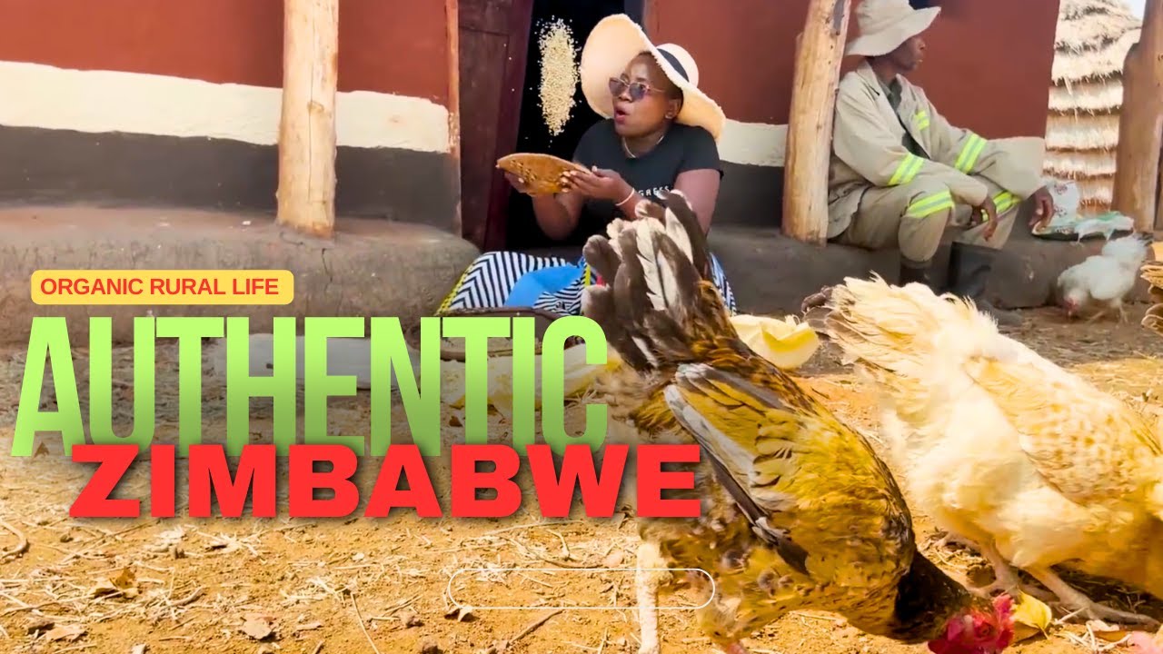 life in rural Zimbabwe village organic food growing cooking rural ...