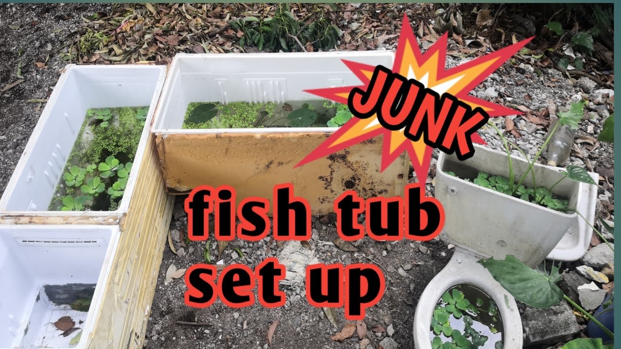 how to reef tub set up, for guppy fish - YouTube
