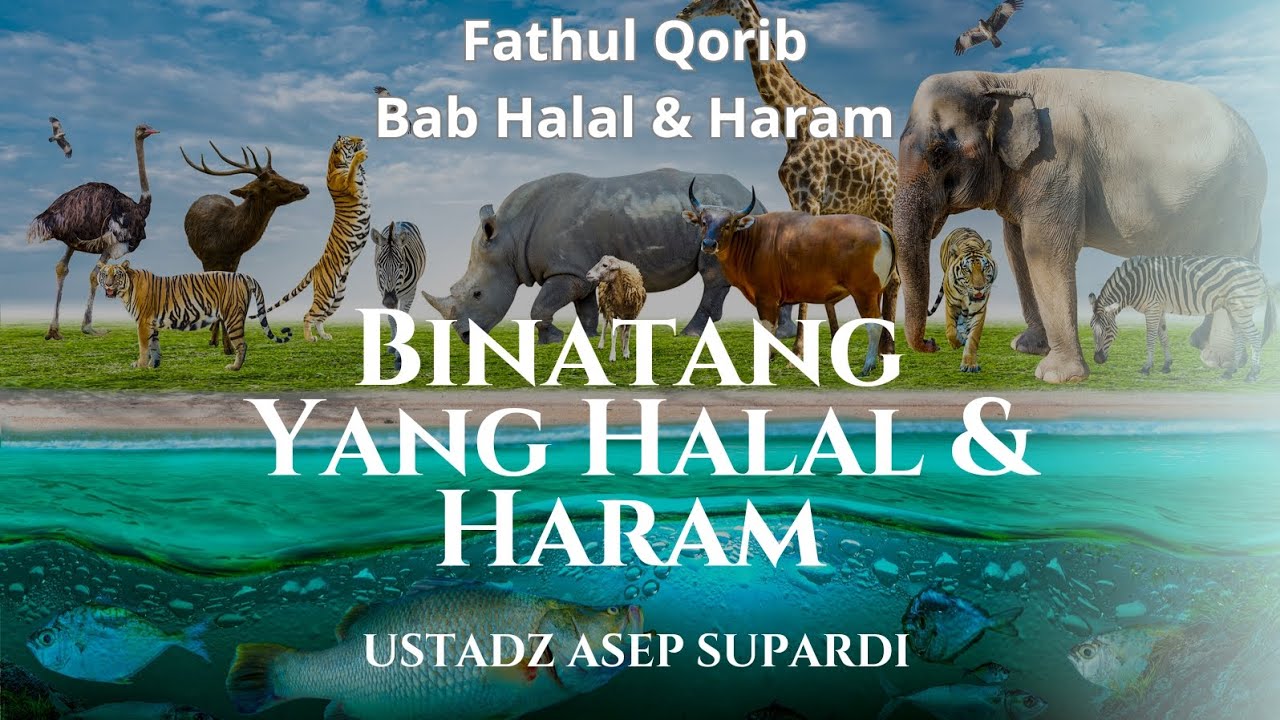 Fathul Qorib | Bab Halal & Haram | Bintang Yang Halal & Haram | Ustadz ...