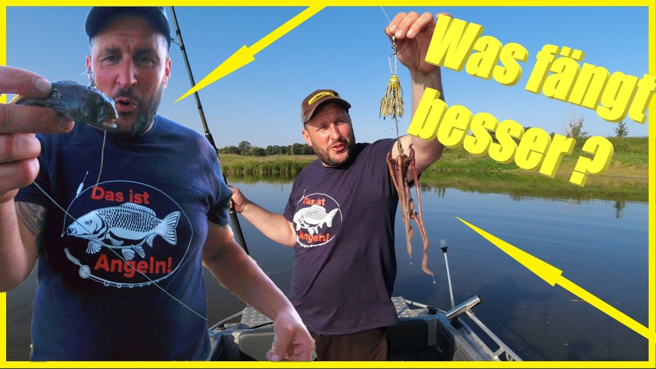 Angeln am Fluss Elbe auf Waller vom Ufer und Boot ganz einfach und ...