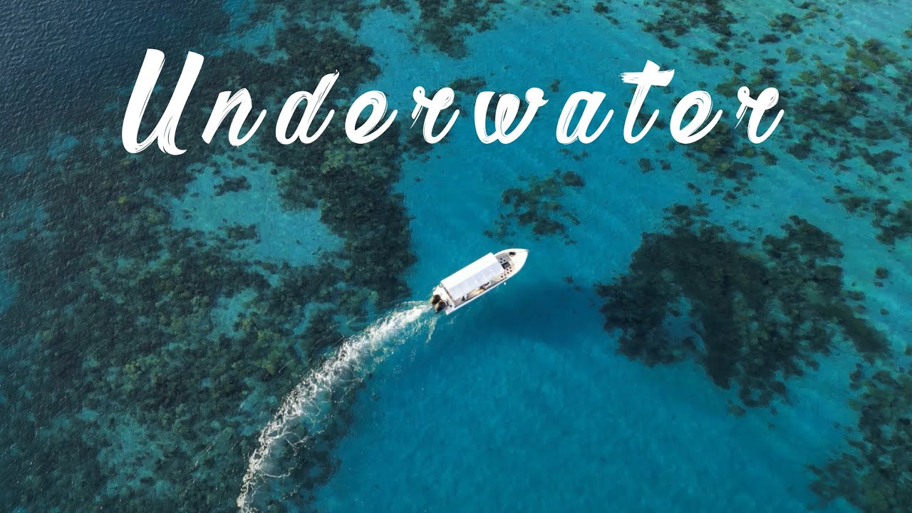 Exploring Semporna's Underwater Paradise: Scuba Diving Adventure in ...