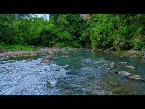 Gentle Stream Sounds | Relaxing Stream Sounds use for Relaxation, Sleep ...