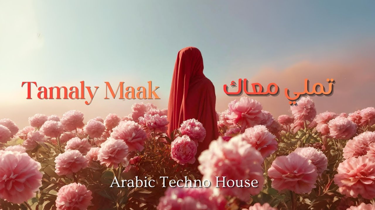 TAMALY MAAK | تملي معاك - (cover) Arabic Techno House Mix - YouTube