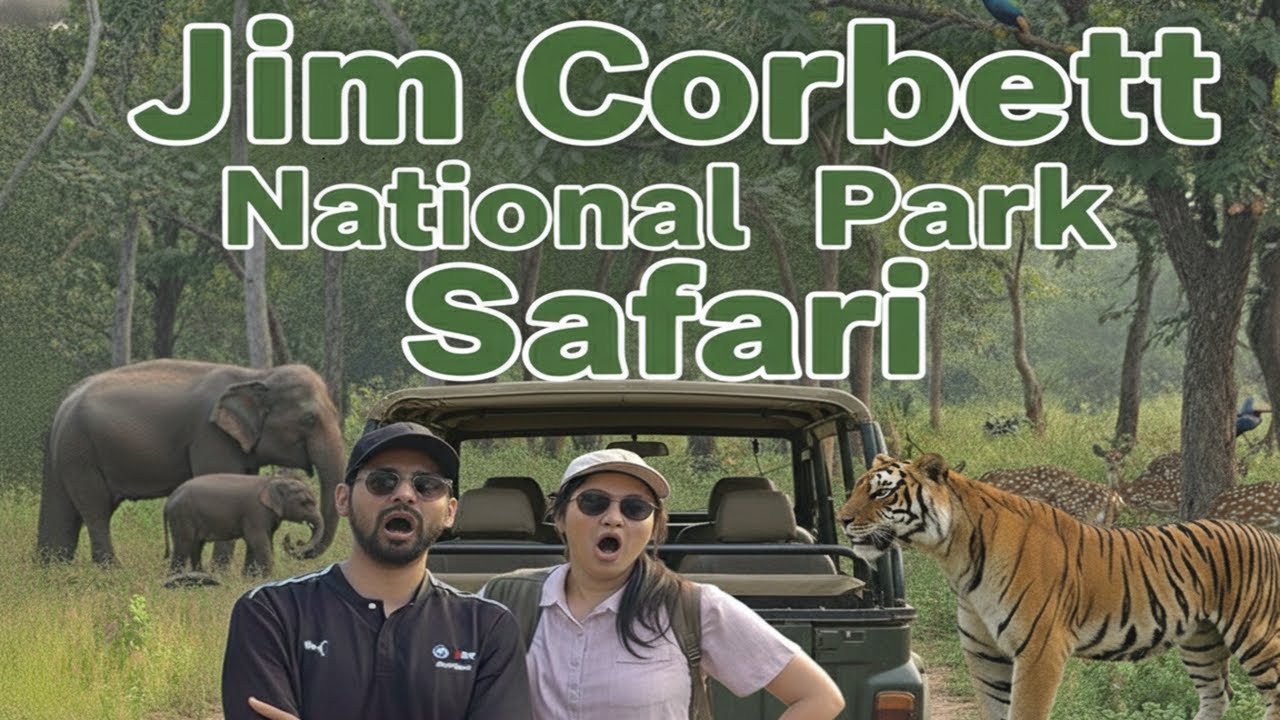 Jim Corbett National Park | Hotel. Safari booking, Route, Travel Guide ...
