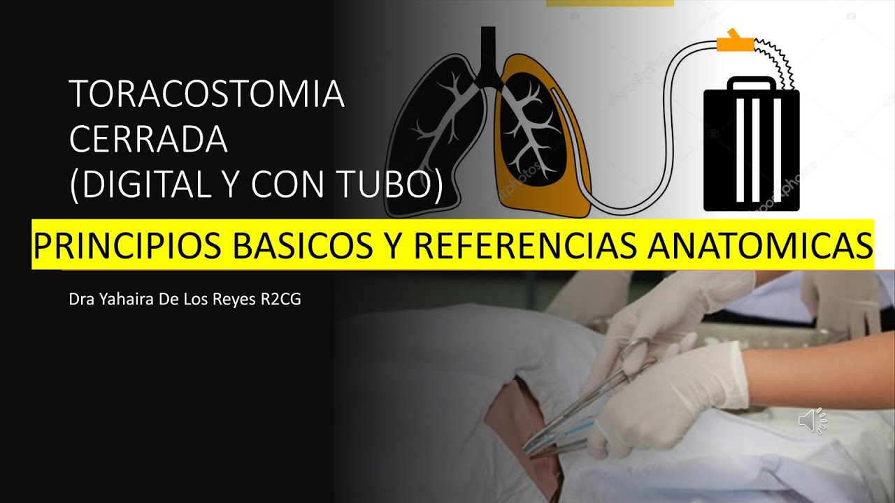 SONDA ENDOPLEURAL, PRINCIPIOS BASICOS, FISIOLOGIA PULMONAR BASICA ...