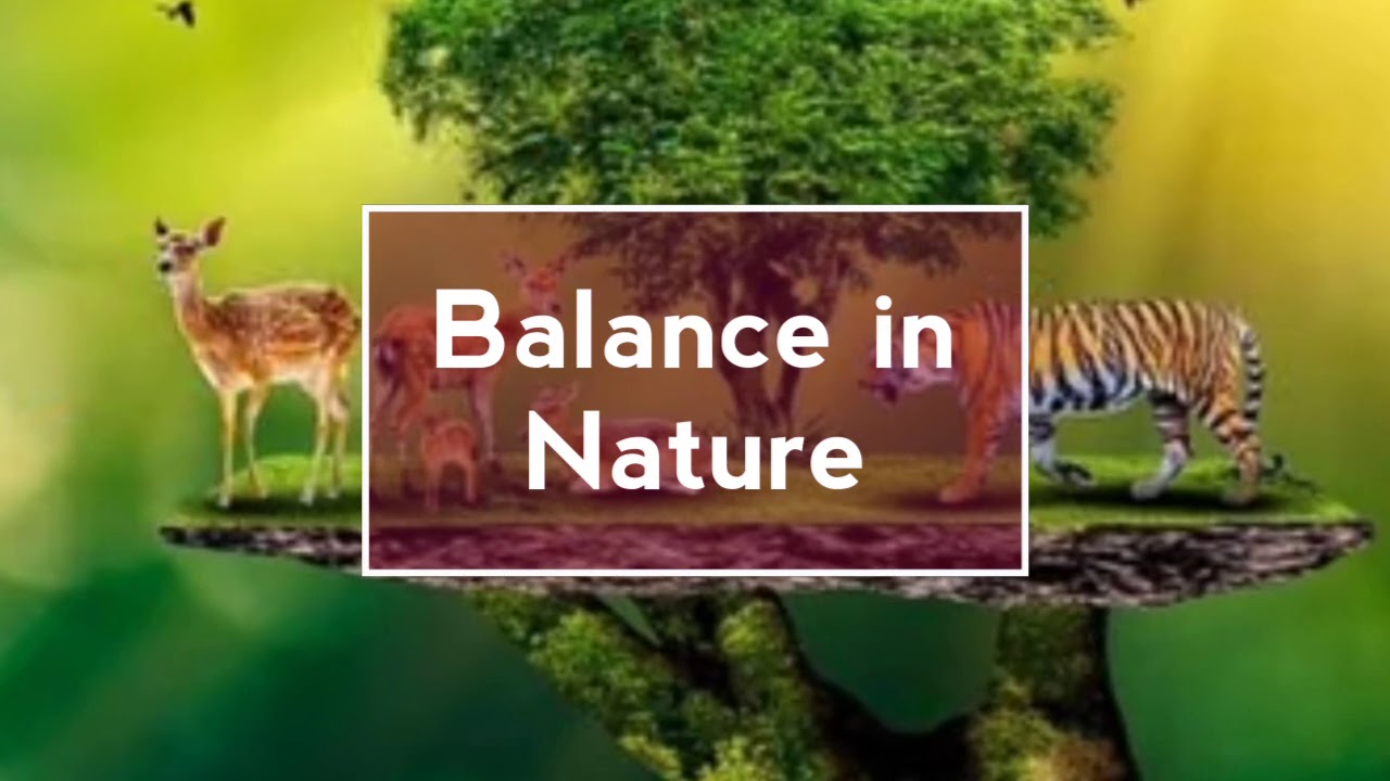 Balance in nature/ Class IV/ Science - YouTube
