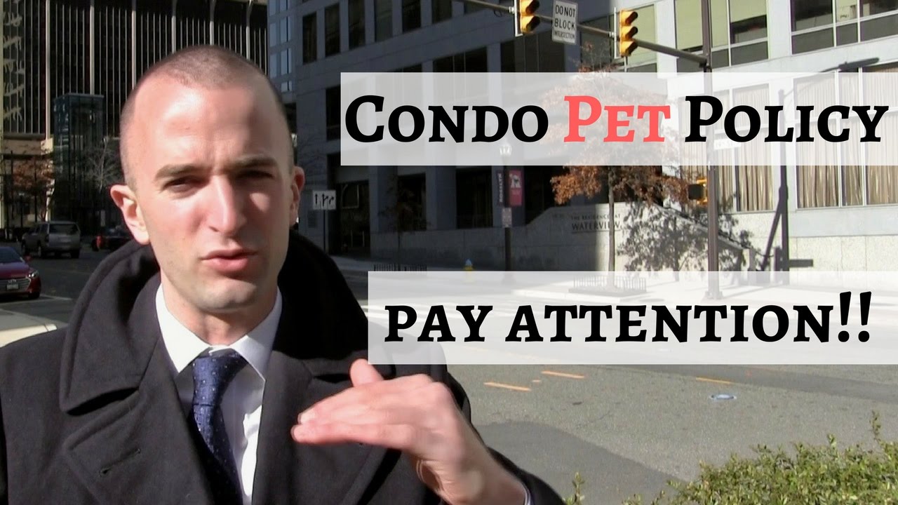Know The Condo Pet Policy BEFORE You Start Your Search Condo Pet know-the-condo-pet-policy-before-you-start-your-search-condo-pet