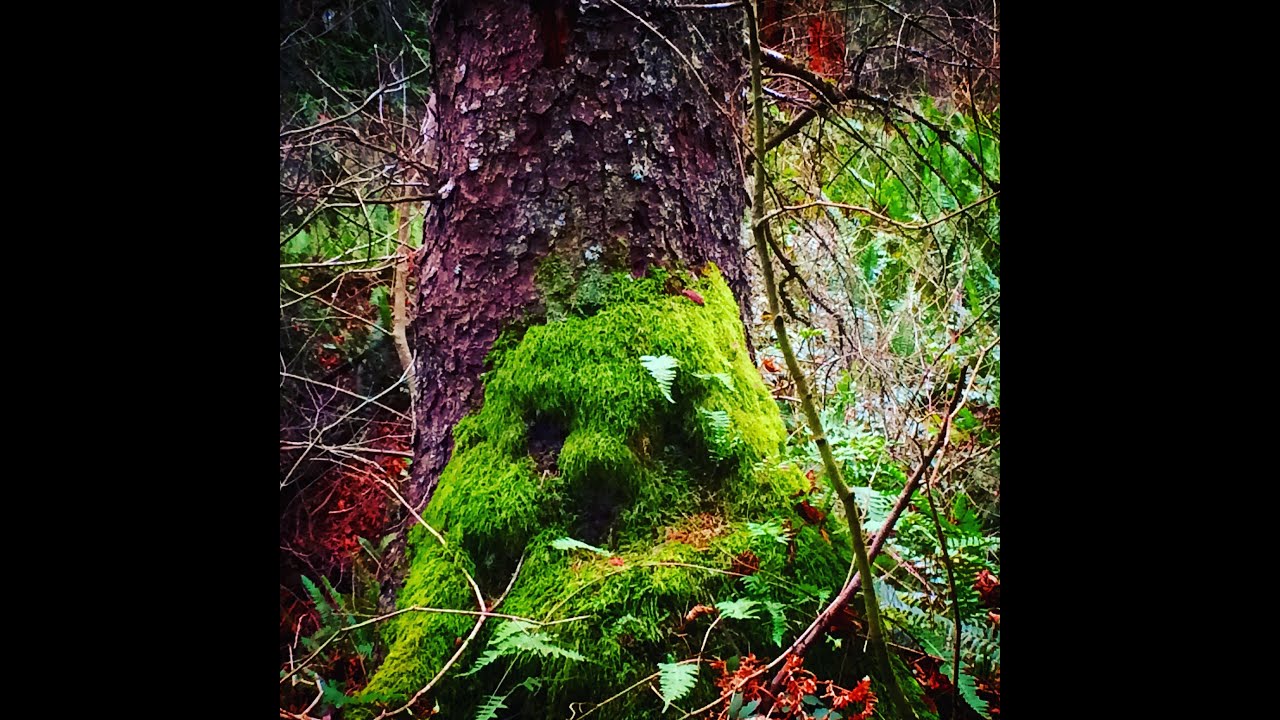 Mr Spry-Same Boat-Hiphop-RnB-Song - YouTube