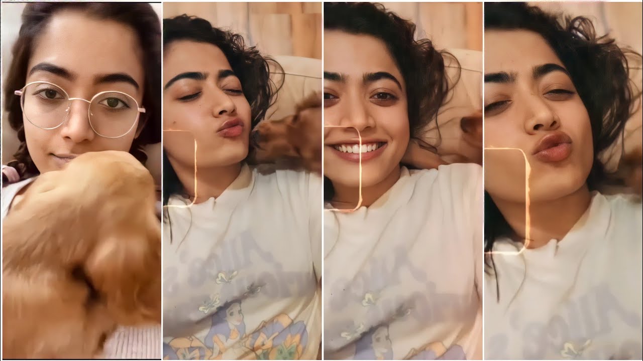 Rashmika Mandanna Dog Love | rashmika Mandanna new video | actor ...