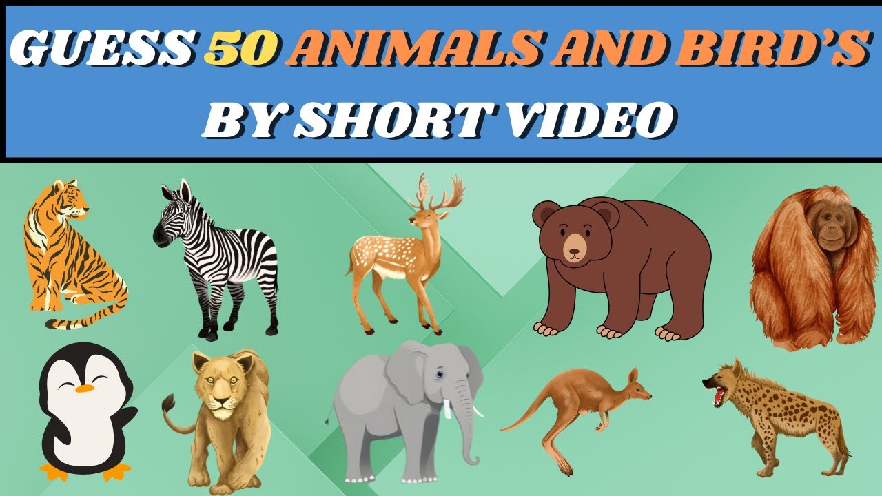 GUESS THE FOREST ANIMAL BY SHORT VIDEO - YouTube