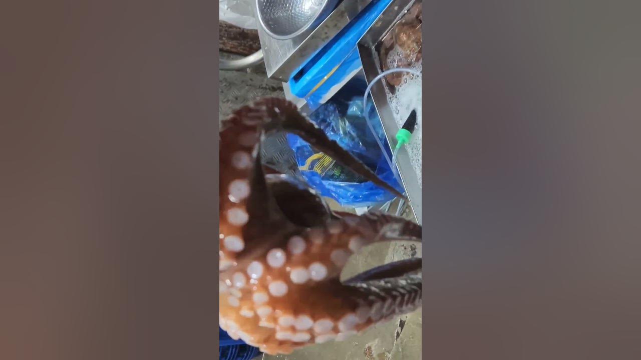 #octopus~ #문어먹방 #travel #7080 #아저씨 #shorts #구독과좋아요 - YouTube