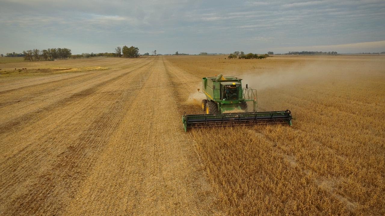 Día de cosecha de soja en Entre Ríos - YouTube