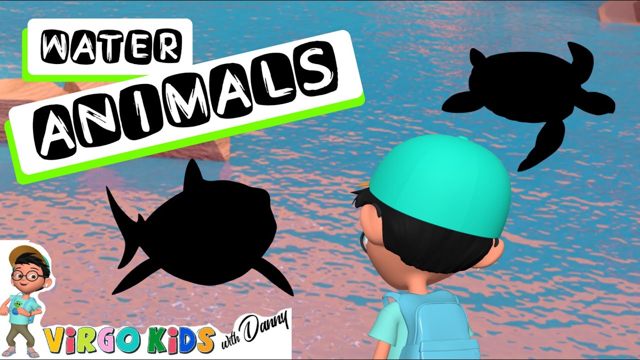 WATER ANIMALS | AQUATIC ANIMALS | IDENTIFY ANIMALS NAMES | FUN TIME ...