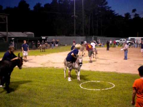 Donkey Baseball in Deltaville, Va - YouTube