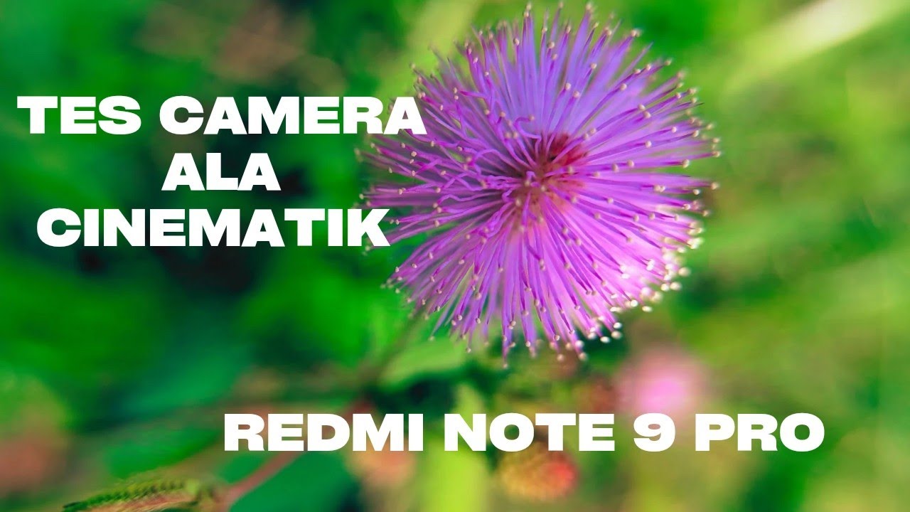 KEINDAHAN ALAM ALA ALA CINEMATIK | REDMI NOTE 9 PRO - YouTube
