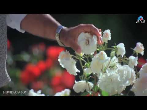 Dil Na KaHa Hai Dil Sa|4k Video Song| Dhadkan (Alka yanik) kumar sanu.................
