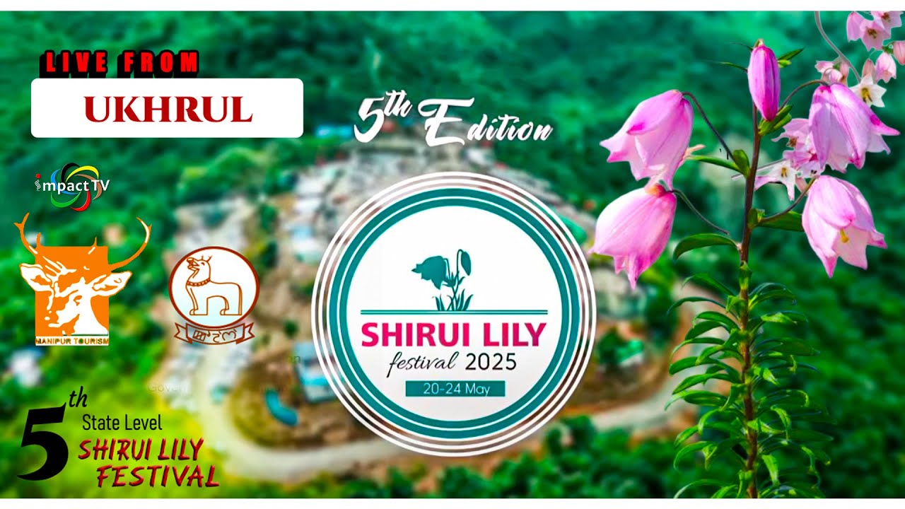 SHIRUI LILY FESTIVAL 2025 || DAY 3 || HERITAGE GROUND, VANGAYAN, SHIRUI ...