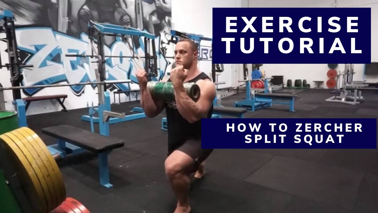 How to Zercher Split Squat | Exercise Tutorial - YouTube