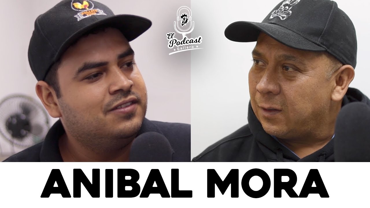 EL PODCAST GALLERO #5 | PASTOR ANIBAL MORA, SU ÚLTIMA ENTREVISTA LA ...