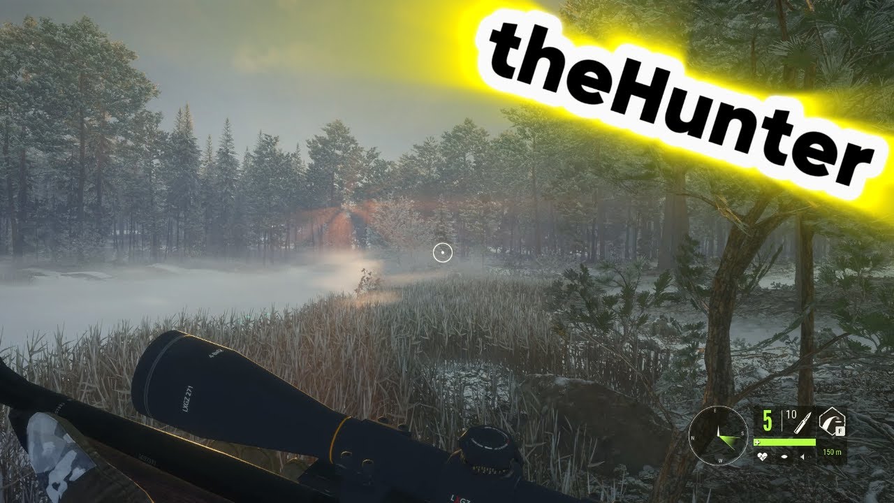 I shot the MOST BEAUTIFUL THUMBNAIL in theHunter! - YouTube