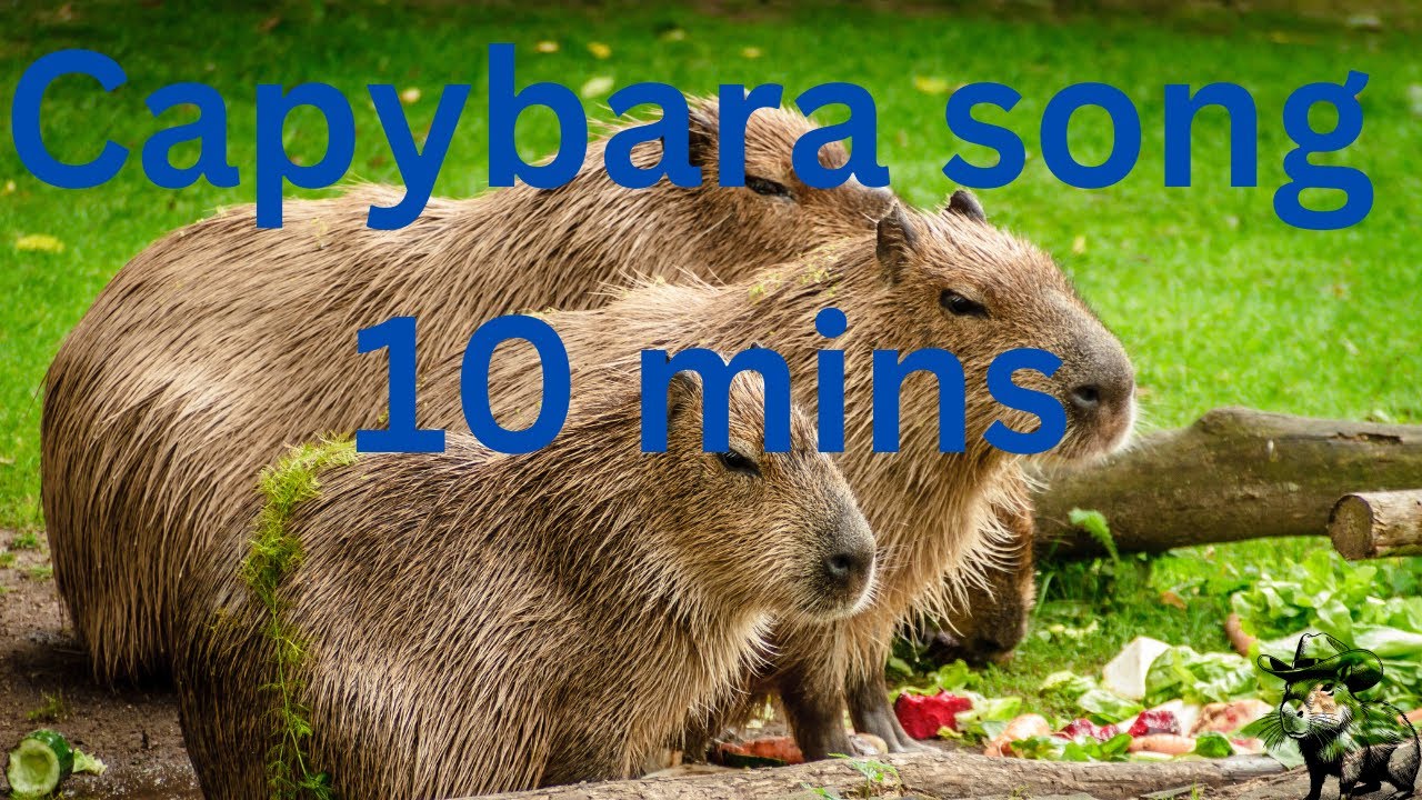 Capybara song-10 minutes - YouTube