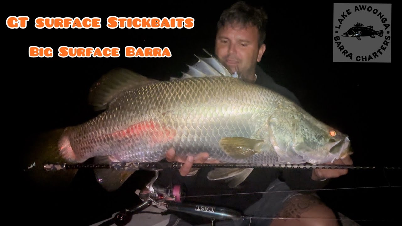 Catching Big Barra using Big 200mm Cast GT Surface Stickbaits at night ...