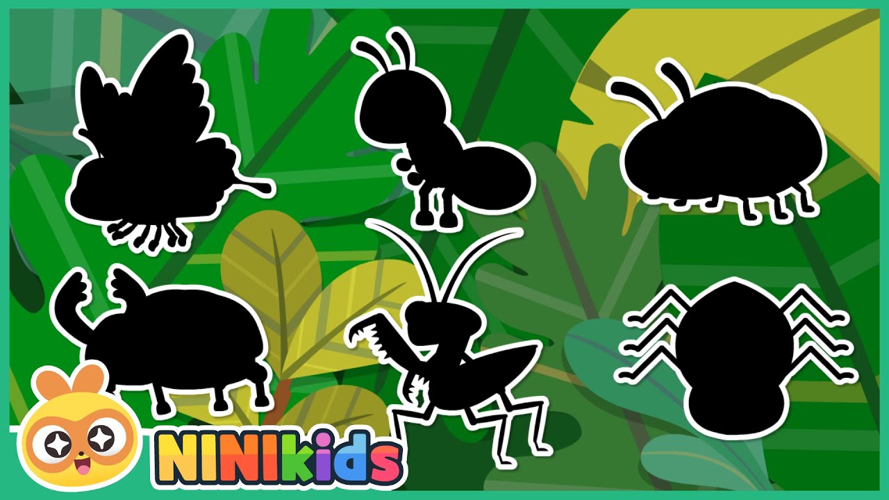 What insect am I? | Shadow Animals Game | Bee? Ant? Beetle? | Play for ...