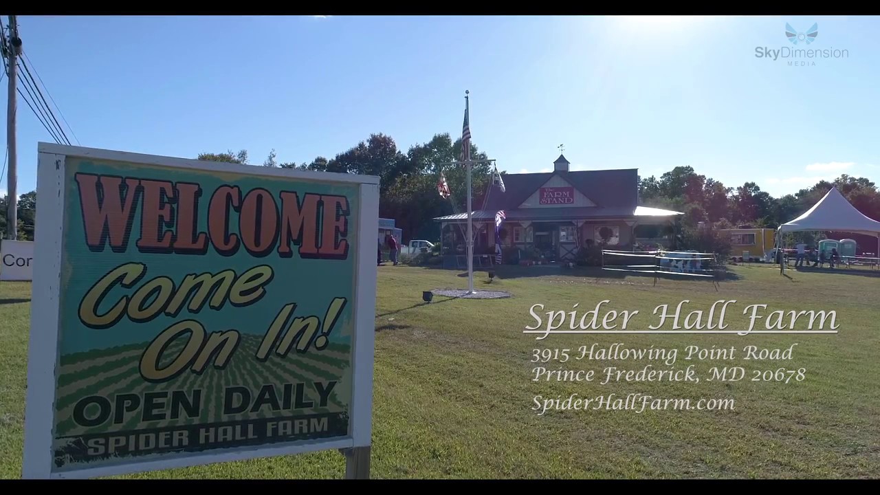 Spider Hall October 2017 - YouTube