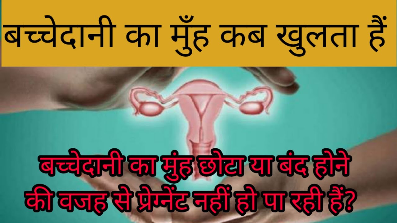 Bachedani Ka Muh Kis Din Khula Rhta Hai | Bachedani Ka muh Kholne ...