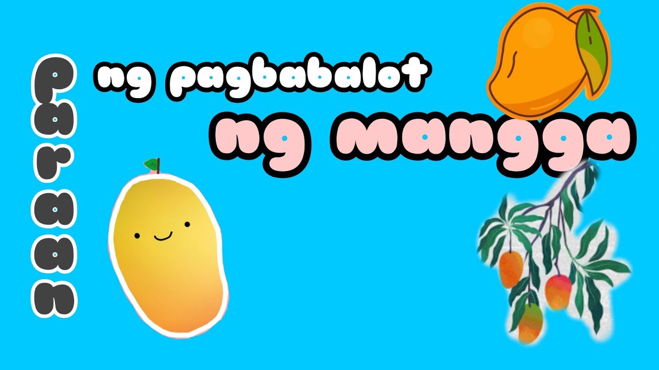 Proper procedure mango bagging - YouTube