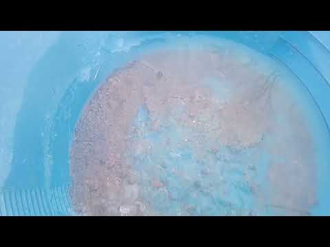 A prospector's trip ice Cold Gold