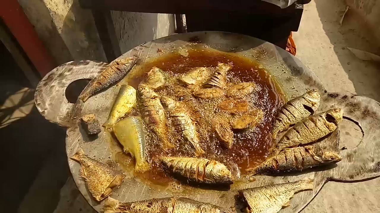 Ilish Fry | Ilish Mash Fry | Ilish Fish Fry | Chandpuri Ilish Mash Fry ...