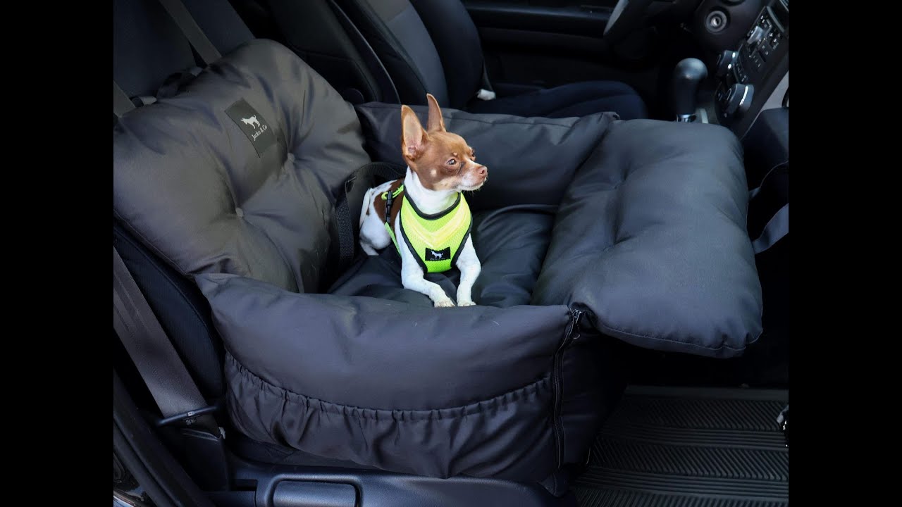Jacko & Co - Premium Dog Car Seat (Black Edition) - YouTube