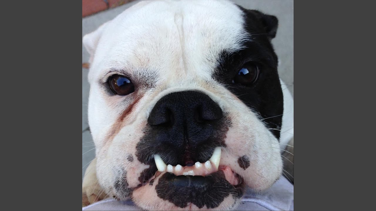 How Many More Times - YouTube