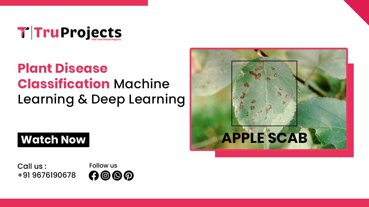 Plant Disease Classification machine learning and deep learning - YouTube