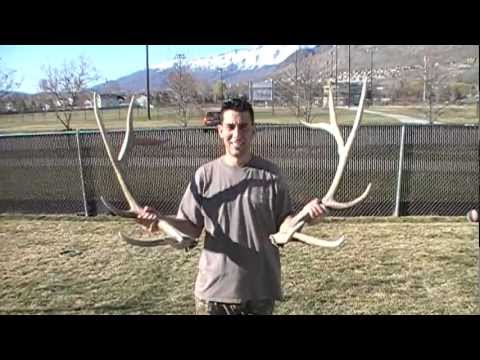 6 Point Elk Sheds part 3 - YouTube