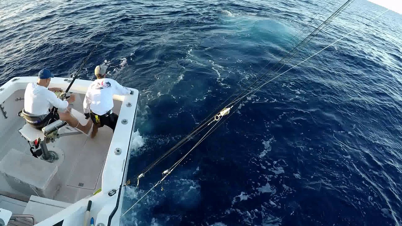 Hula Girl Sport Fishing Charters in Kona Hawaii - YouTube