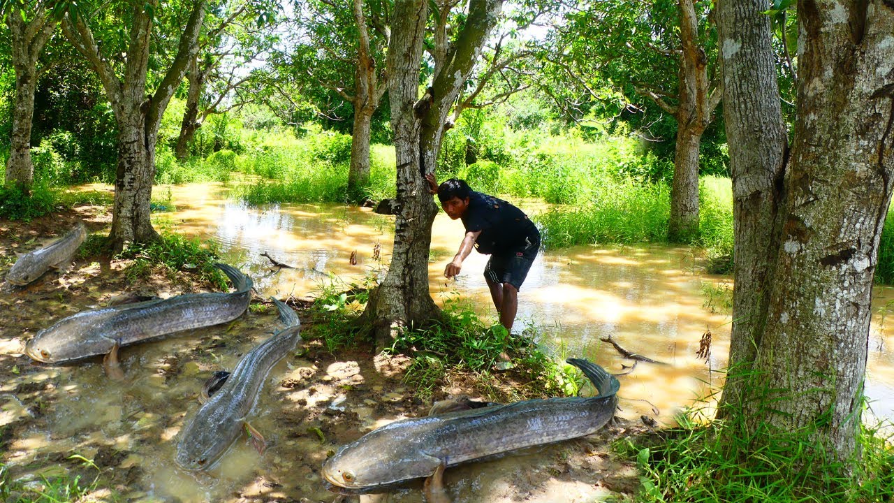 wow amazing! today a fisherman skill catch fish a lots and crabs by ...