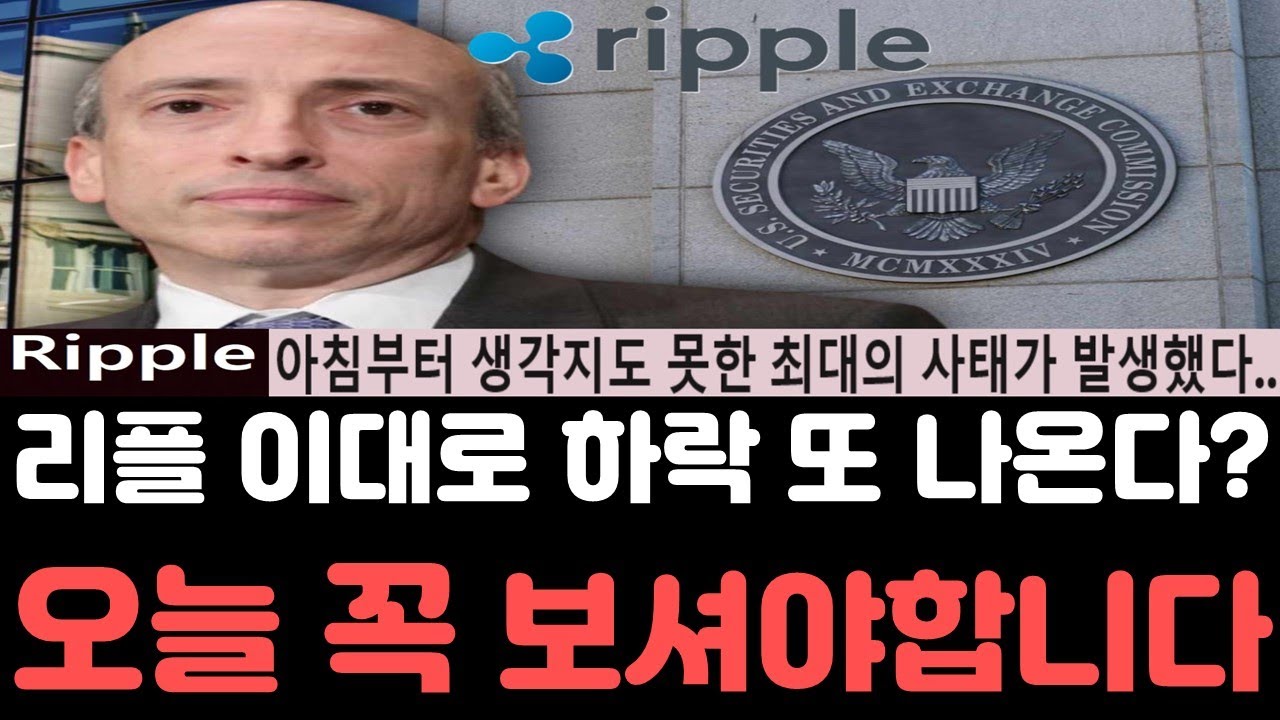 리플전망 리플 Xrp 추가적인 폭락 매도현상 찾아온다는 소식에 리플랩스의 한마디 오늘 영상은 꼭 보셔야합니다 리플전망 리플호재 리플급등 리플코인 리플소송
