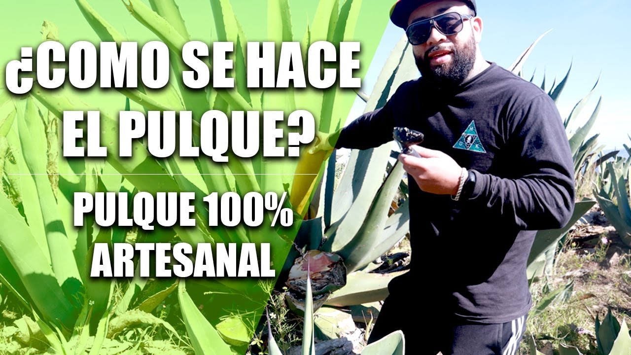 Como se hace un Pulque 100% artesanal Algo muy rico 😋 Solo en México lo ...