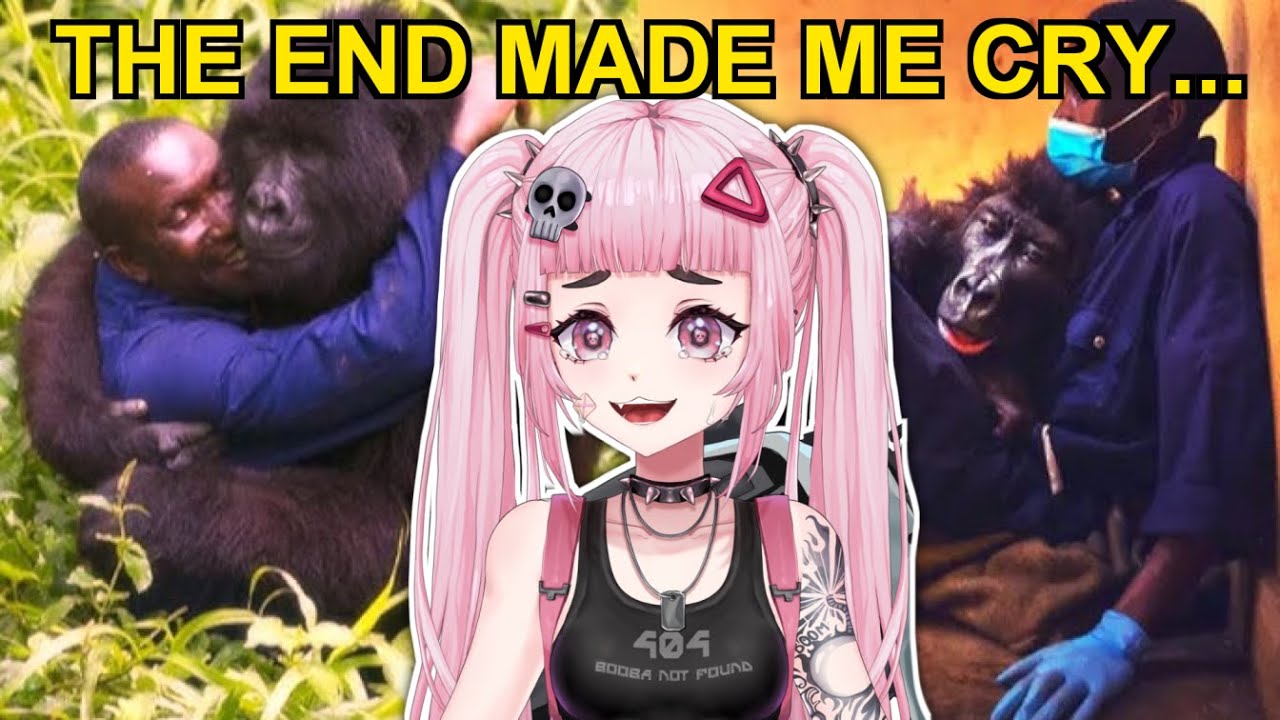 WHOLESOME! Don't Watch If You're Afraid to Smile Or Cry //Casual ...