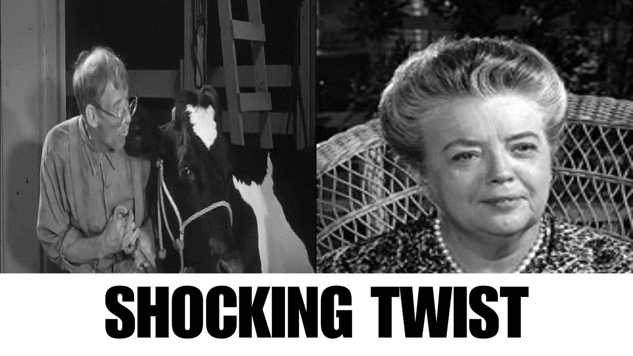 You Won't Believe What Everyone Missed in This Classic Andy Griffith ...