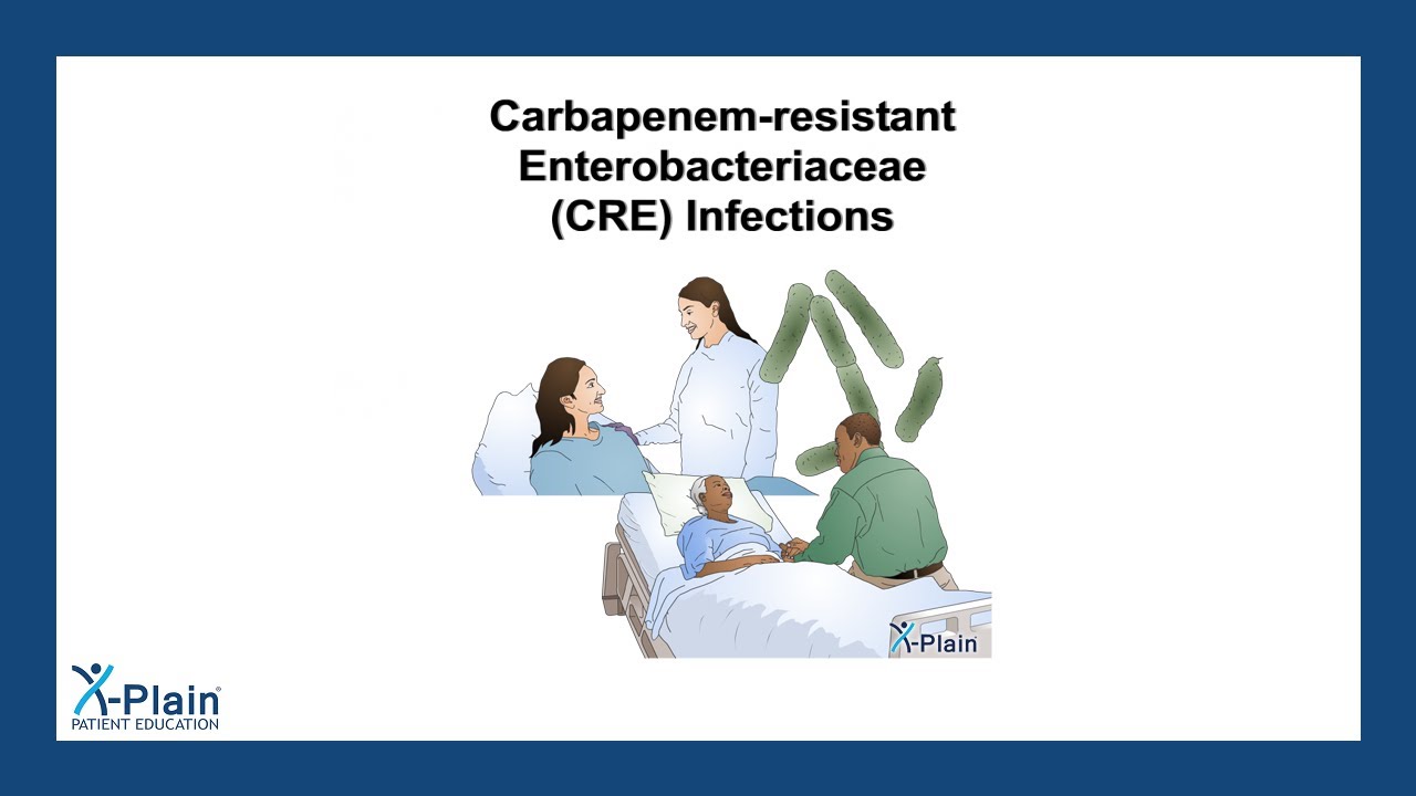 Carbapenem-resistant Enterobacteriaceae (CRE) Infections - YouTube