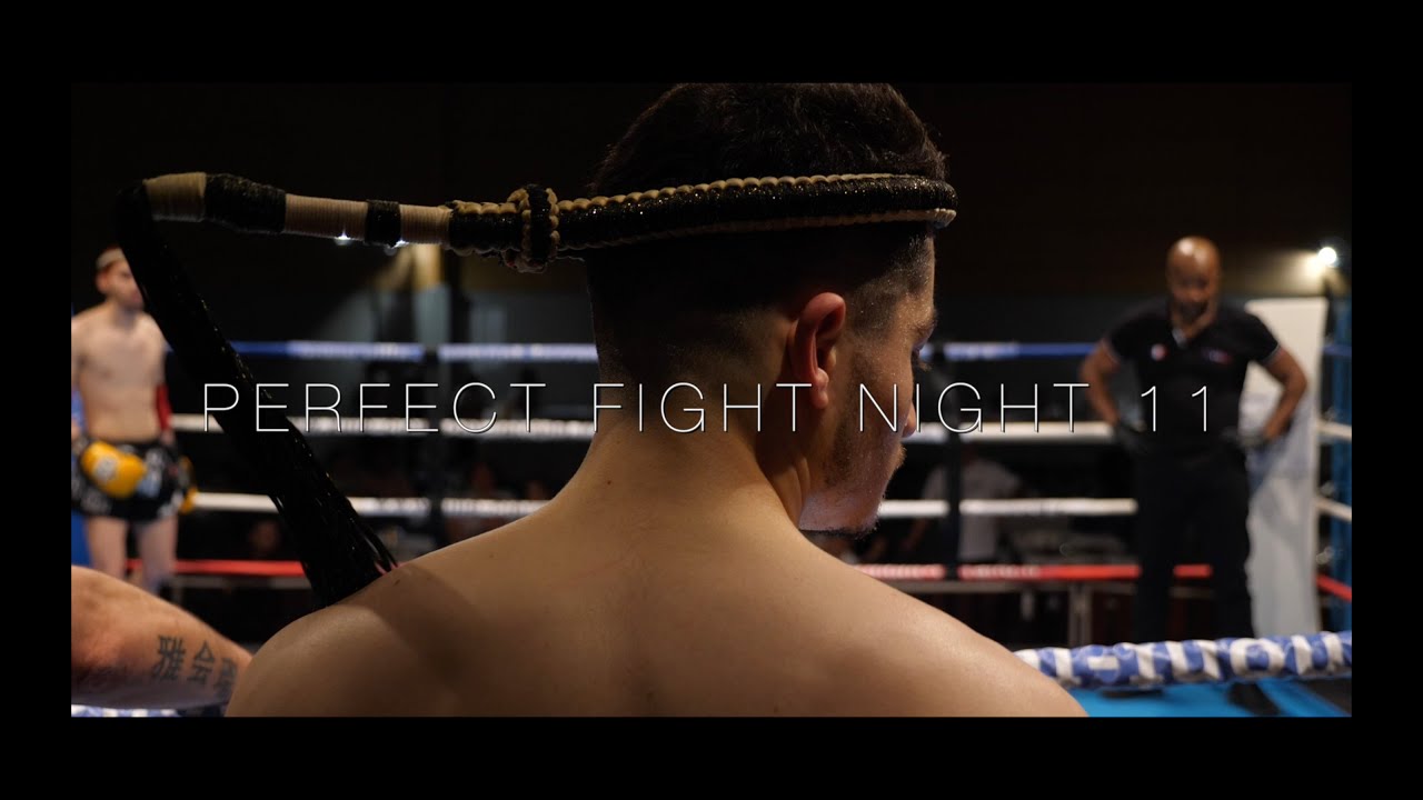 PERFECT FIGHT NIGHT 11 - Highlight - YouTube