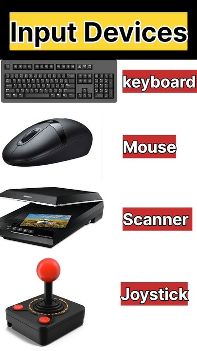 Most common input device in computer #cbsecomputereducation # ...