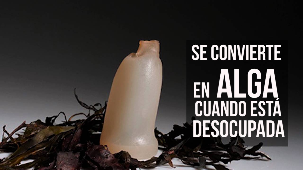 Botellas Biodegradables - YouTube